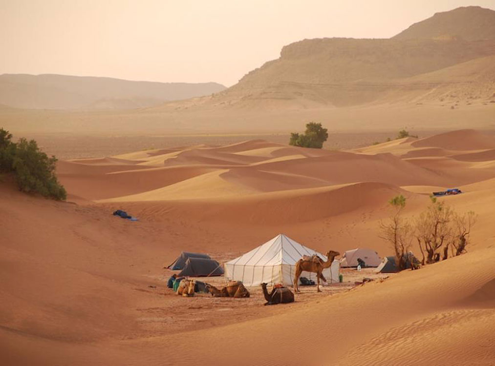 8 Day Sahara Camel Trek from Marrakech to Ouarzazate | Desert Adventure